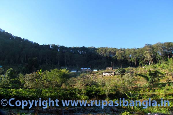 Icchey Gaon near Kalimpong is lovely village surrounded by dense forest